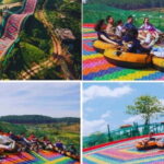 Dalat: Mario Kart - Mongo Land - Countryside Small Group - Practical Aspects and Pricing
