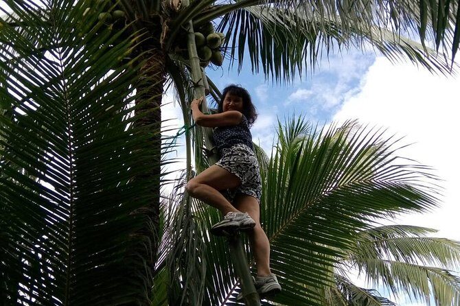 Damnoen Saduak Floating Market Small Group Tour - What You’ll Experience and Why it Matters