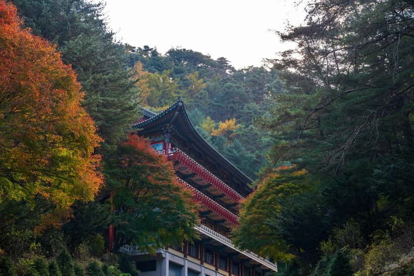 Danyang Tour:Guinsa Temple & Bobaljae & Ondal Park and Cave - Who Should Consider This Tour?