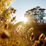 d'Arenberg: The Blending Bench and Degustation with Wine Pairing - Learning the Basics: From Grape to Glass