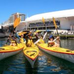 Darling Harbour Explorer - Sea Kayaking Tour - Final Thoughts on the Darling Harbour Explorer