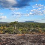 Darling Range Scenic Sunset Hike and Graze in Australia - The Group Size and Logistics