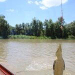 Darwin: Adelaide River Queen Original Jumping Crocodile Cruise - The Itinerary: What To Expect