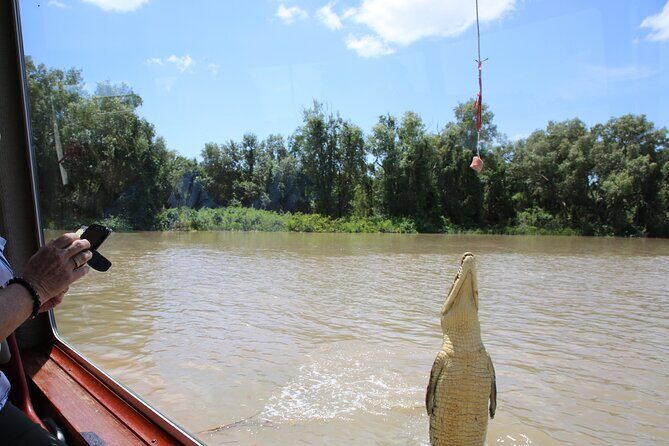 Darwin: Adelaide River Queen Original Jumping Crocodile Cruise - The Itinerary: What To Expect
