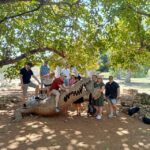 Darwin and Crocodile Tour - Authentic Experiences and Traveler Insights