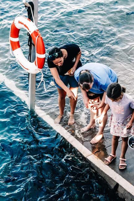 Darwin: Aquascene Fish Feeding Experience - Authenticity and Value: What You’re Getting for Your Dollar