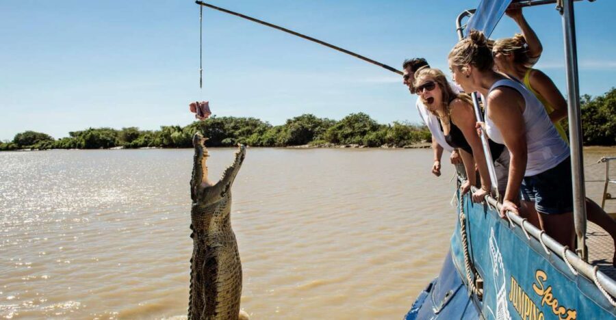 Darwin: City Sights and Jumping Crocodile Cruise - Exploring the Itinerary in Detail
