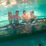 Darwin: Crocosaurus Cove Entry & Hop-on-Hop-Off Bus Tour - Detailed Breakdown of the Tour Experience