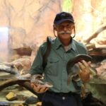Darwin: Hop-On Hop-Off Bus, Crocosaurus Cove and RFDS Entry - Authentic Traveler Insights and Considerations