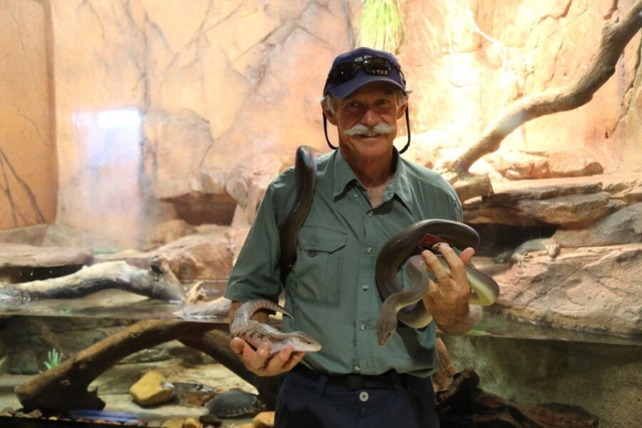 Darwin: Hop-On Hop-Off Bus, Crocosaurus Cove and RFDS Entry - Authentic Traveler Insights and Considerations