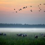 Darwin: Kakadu National Park, Yellow Water River Cruise - Transportation and Group Size