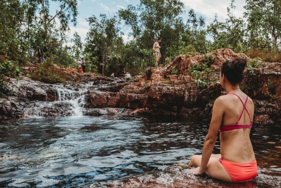 Darwin: Litchfield Day Tour and Private Crocodile Cruise - Value for Money