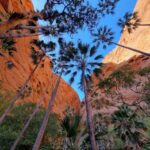 Darwin to Bungle Bungles: Day Trek with Aboriginal guides - Who Will Love This Tour?