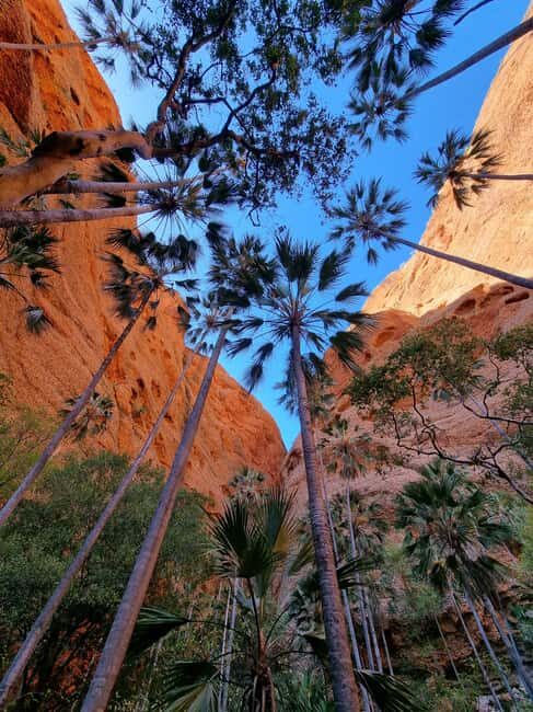 Darwin to Bungle Bungles: Day Trek with Aboriginal guides - Who Will Love This Tour?
