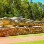 Darwin to Cairns: Kakadu & Gulf Savannah 11 Day Tour - Day Two: Wetlands, Waterfalls, and Hot Springs