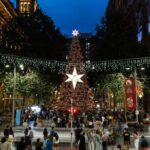 Darwins Christmas Charm Festive Walking Tour - Practical Details and What to Expect