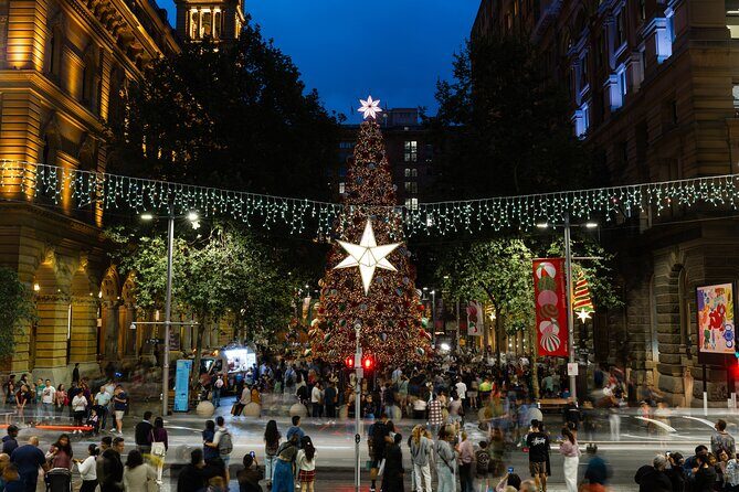 Darwins Christmas Charm Festive Walking Tour - Practical Details and What to Expect