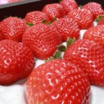 Day Bus Trip to Fruits Pick & Dazaifu, Yanagawa in Fukuoka - The Itinerary in Detail: What You Can Expect