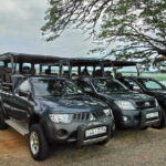 Day Excursion to Udawalawe from Colombo - Why Choose This Tour?