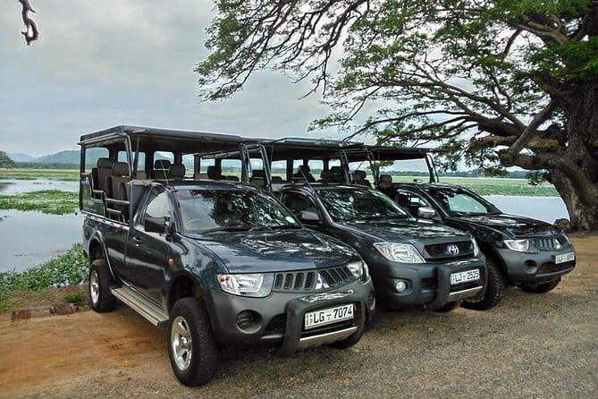 Day Excursion to Udawalawe from Colombo - Why Choose This Tour?