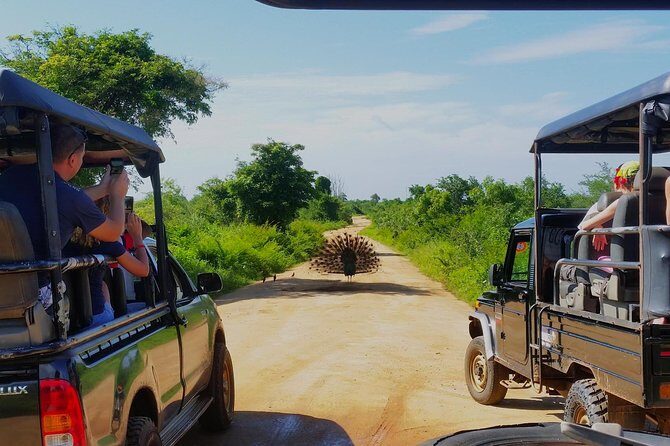 Day Excursions to Udawalawe from Bentota - Second Stop: Udawalawe Dam