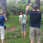 Day execution trincomalee to Wild safari willpattu national park - Exploring Sri Lanka’s West: Wilpattu Safari & Kanniya Hot Springs