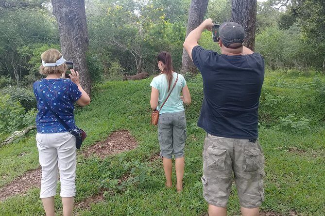 Day execution trincomalee to Wild safari willpattu national park - Exploring Sri Lanka’s West: Wilpattu Safari & Kanniya Hot Springs