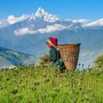 Day Hike at Annapurna Foothills - What Travelers Love About This Hike