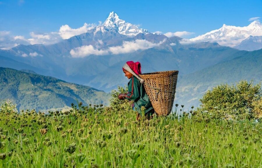 Day Hike at Annapurna Foothills - What Travelers Love About This Hike