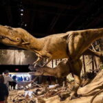 Day of Dinosaurs and Hoodoos From Calgary to the Badlands - Whats Included and What Not