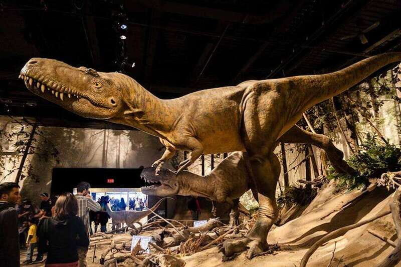 Day of Dinosaurs and Hoodoos From Calgary to the Badlands - Whats Included and What Not