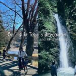 Day Tokyo Backcountry Okutama with E-bike - Midday: River Trekking and Local Lunch