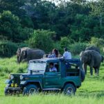 Day Tour from kandy to Sigiriya, Dambulla & National Park safari. - Dambulla Cave Temple: A Spiritual Journey