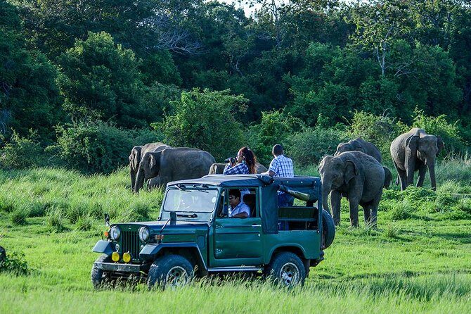 Day Tour from kandy to Sigiriya, Dambulla & National Park safari. - Dambulla Cave Temple: A Spiritual Journey