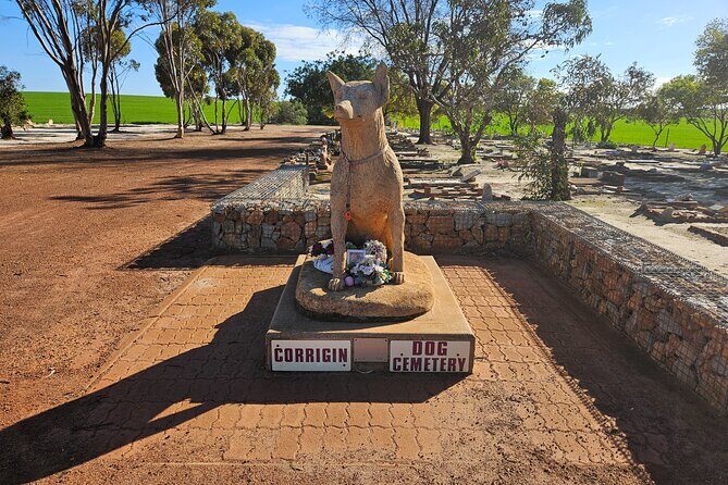 Day Tour in Wave Rock and Mulka's Cave - Practical Aspects: Comfort, Value, and Flexibility