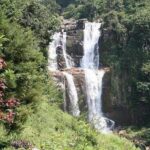 Day Tour of Nuwara Eliya - What Sets This Tour Apart