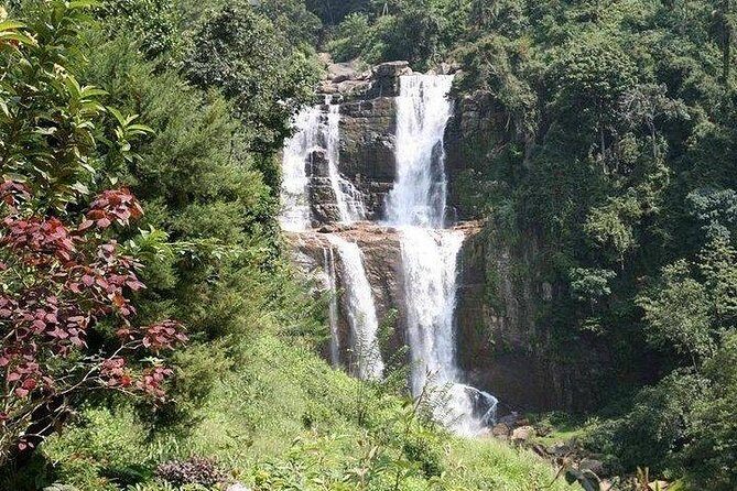 Day Tour of Nuwara Eliya - What Sets This Tour Apart