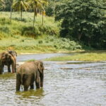 Day Tour Small Group Elephant Sanctuary and Fun Sticky Waterfall - Detailed Breakdown of the Itinerary