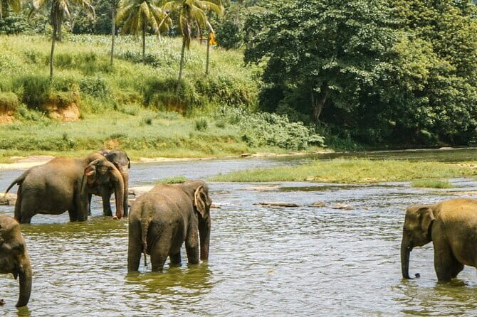 Day Tour Small Group Elephant Sanctuary and Fun Sticky Waterfall - Detailed Breakdown of the Itinerary