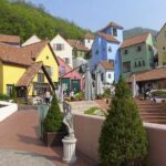 Day Tour to Gangchon Rail Bike Nami Island and Petite France - The Practical Value