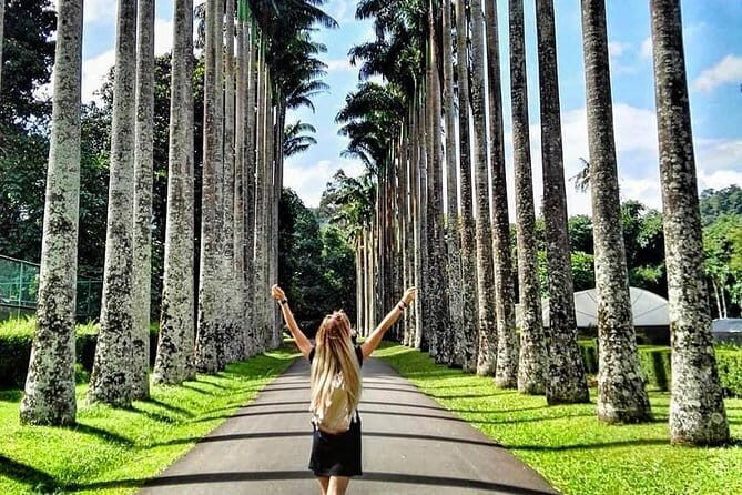 Day Tour To Hill City of Kandy From Bentota - Why This Tour Is Ideal for You