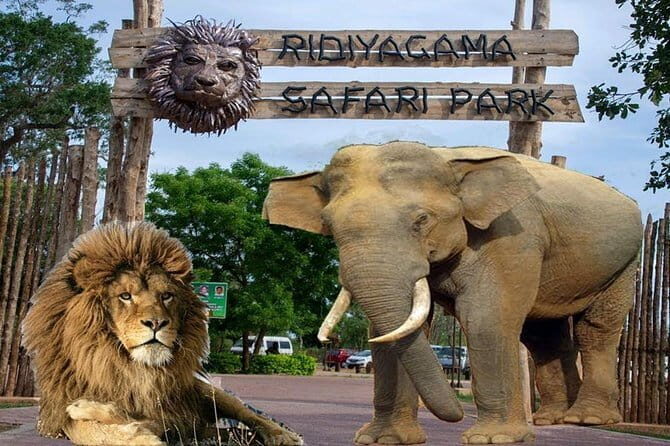 Day Tour To Ridiyagama Safari Park From Colombo - Why This Tour Might Be Right for You