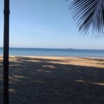 Day tour to the beach combination with city sightseeing - FAQ