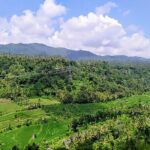 Day Tours Kertagosa, Besakih Temple & Jambul Hills - Midday: The Grandeur of Besakih Temple