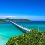 Day Trip Bus Tour from Fukuoka to Tunoshima, Yamaguchi - What Travelers Say & Practical Insights