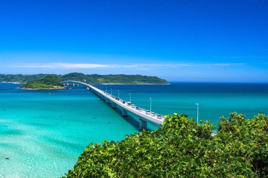 Day Trip Bus Tour from Fukuoka to Tunoshima, Yamaguchi - What Travelers Say & Practical Insights