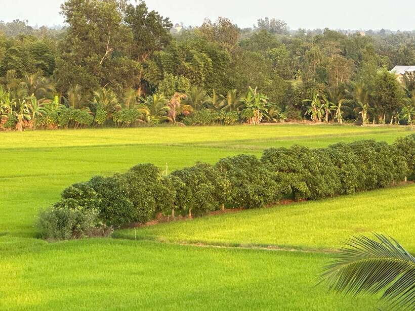 Day Trip: Floating Market & Mua Xuan Forest Half-Day Tour - The Value of the Experience