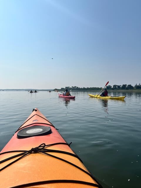 Day Trip from Boston: Guided Kayak at the Crane Estate - The Journey and What You Can Expect