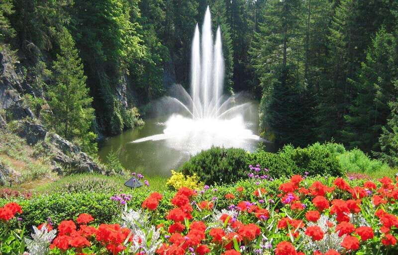 Day Trip from Vancouver to Victoria and Butchart Gardens - The Practical Side: Transportation, Timing, and Group Size