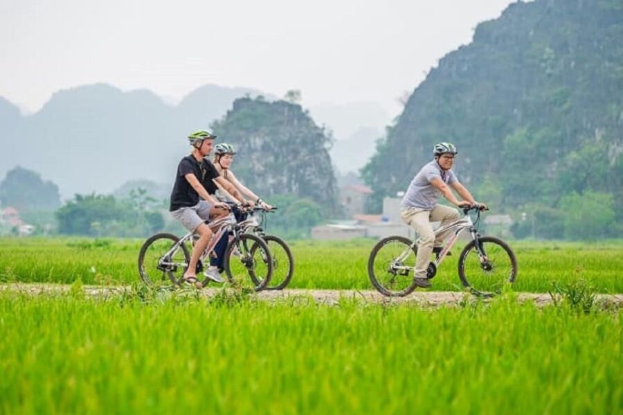 Day Trip-Hoa Lu-Trang An-Mua Cave-Lunch-Transfer - The Experience and Its Benefits